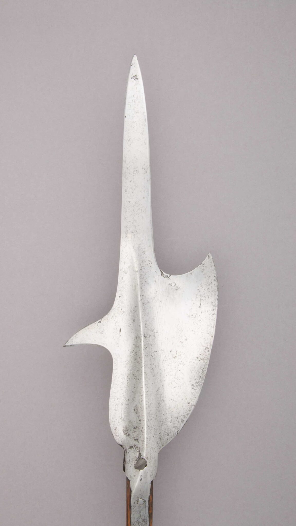 Poleaxe vs Halberd: Different Polearms Compared - Awesome Axes