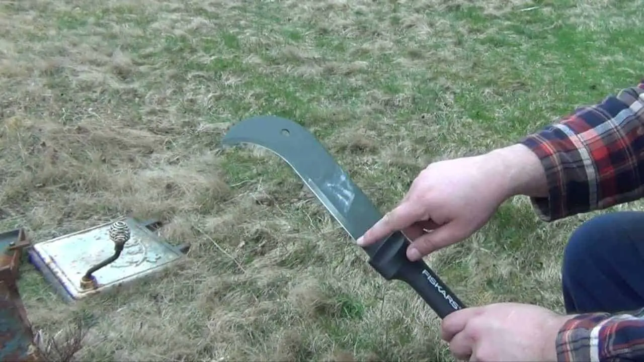 Bushwhacking Brilliance: Best Axes for Clearing - Awesome Axes