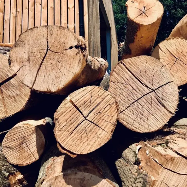10 Best Smelling Firewoods to Burn [Ranked] - Awesome Axes