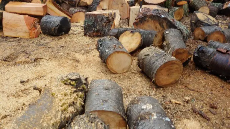 10 Best Smelling Firewoods to Burn [Ranked] - Awesome Axes