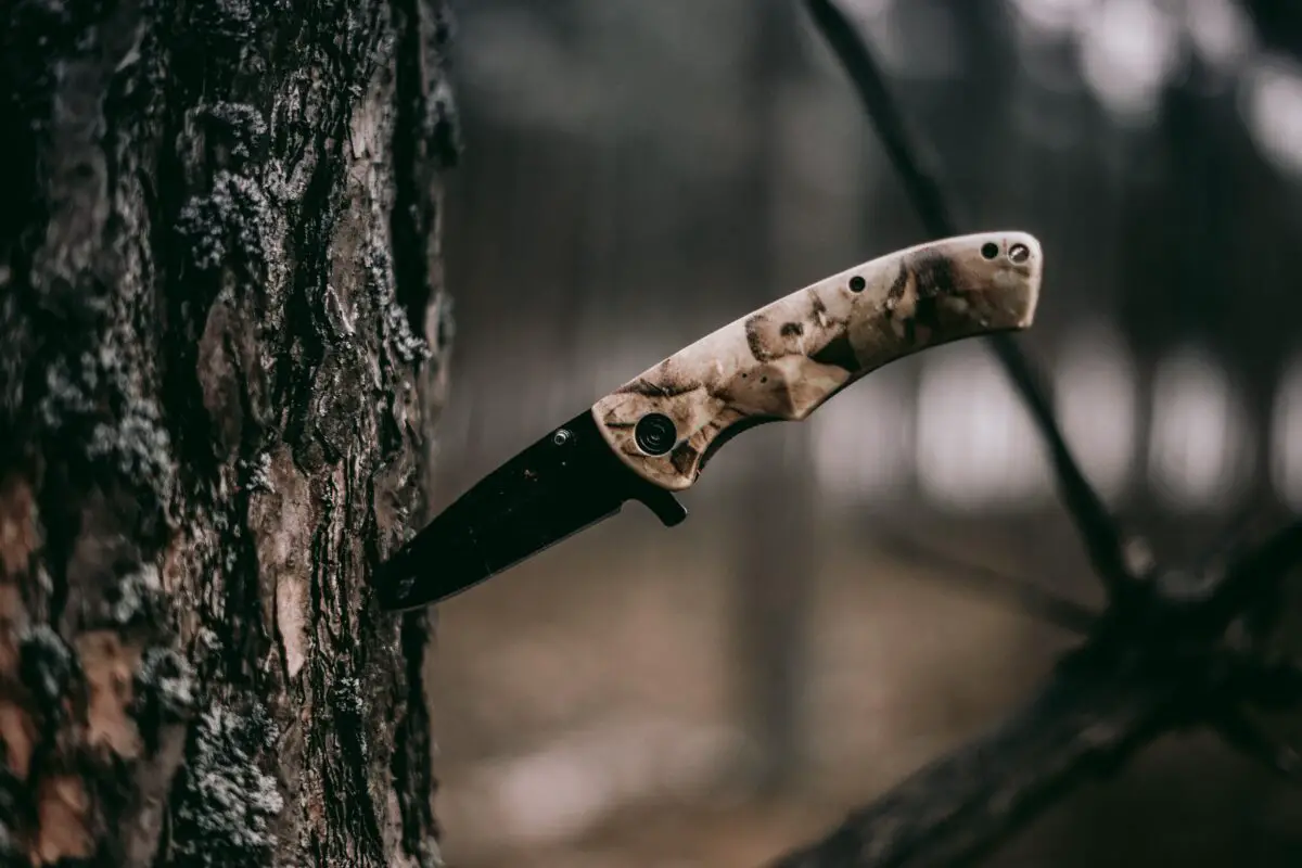 How to Fell a Tree with a Knife [5 Easy Steps] - Awesome Axes