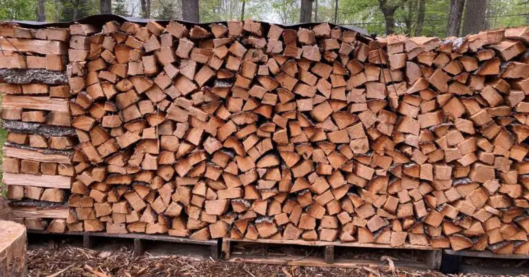 Is Red Oak Firewood Any Good for Burning? - Awesome Axes